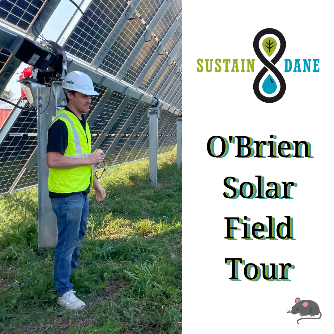 O'Brien Solar Field Tour | KL Engineering